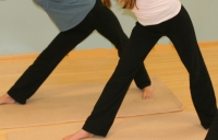 Adrienne Reed Clothing Collection - Perfect Pant